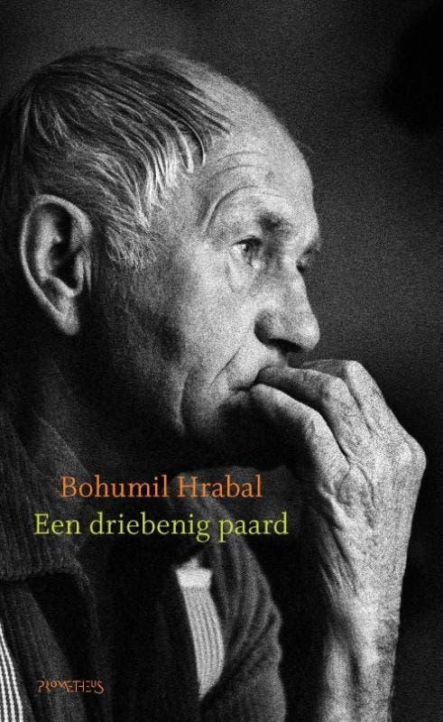 ② Een driebenig paard 9789044655308 Bohumil Hrabal — Romans — 2ememain