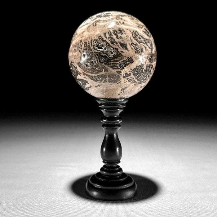 ② Prachtig paar versteend houten bollen op maat gemaakte — Kunst ...