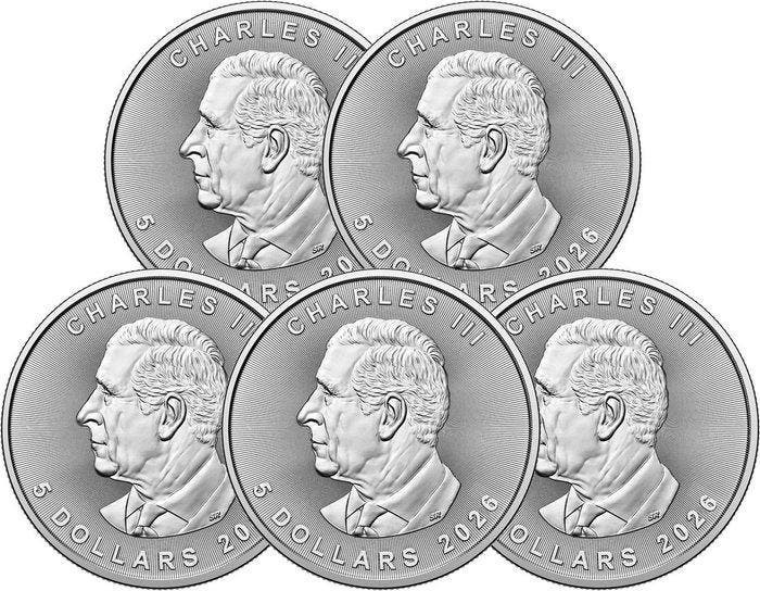 ② 5 Troy Ounce - Argent .999 - Maple Leaf 2026 - 155,5 gram ...
