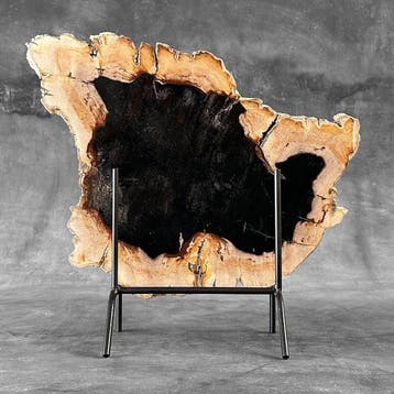 ② Indrukwekkend sneetje versteend hout op een op maat gemaakte — Kunst ...