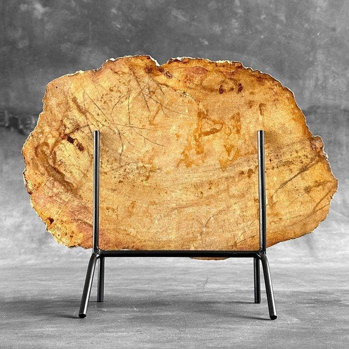 ② Prachtige plak versteend hout op een op maat gemaakte — Art | Objets ...